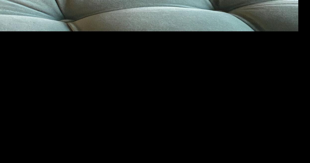 Teddy the dog found safe after backwoods adventure | News | bdtonline.com