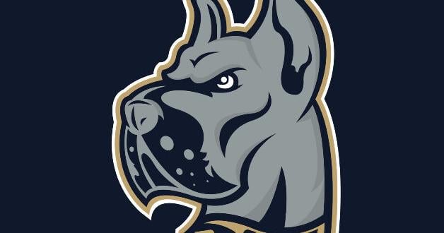 Bluefield State unveils mascot, logos | Sports | bdtonline.com