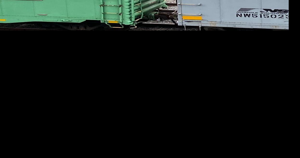 Wandering cows found on railroad tracks on their way back home | News ...