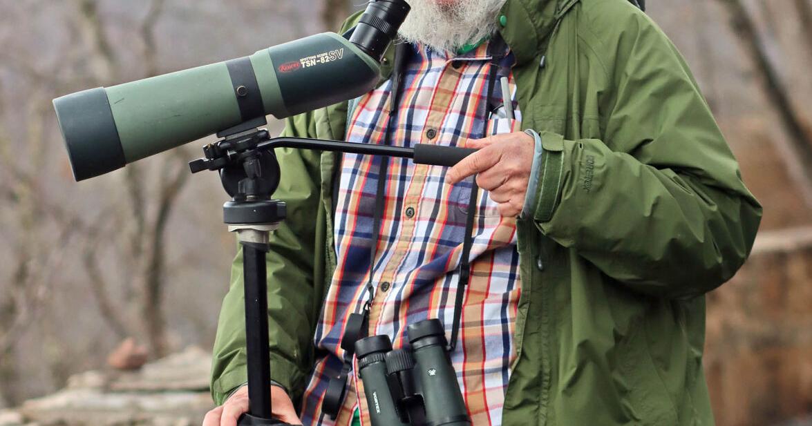 Annual eagle count coming this January and March | News | bdtonline.com