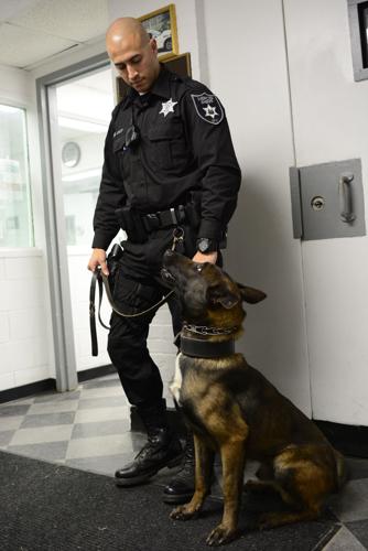 Axel brings unique talent to Mercer Sheriff Department | News ...
