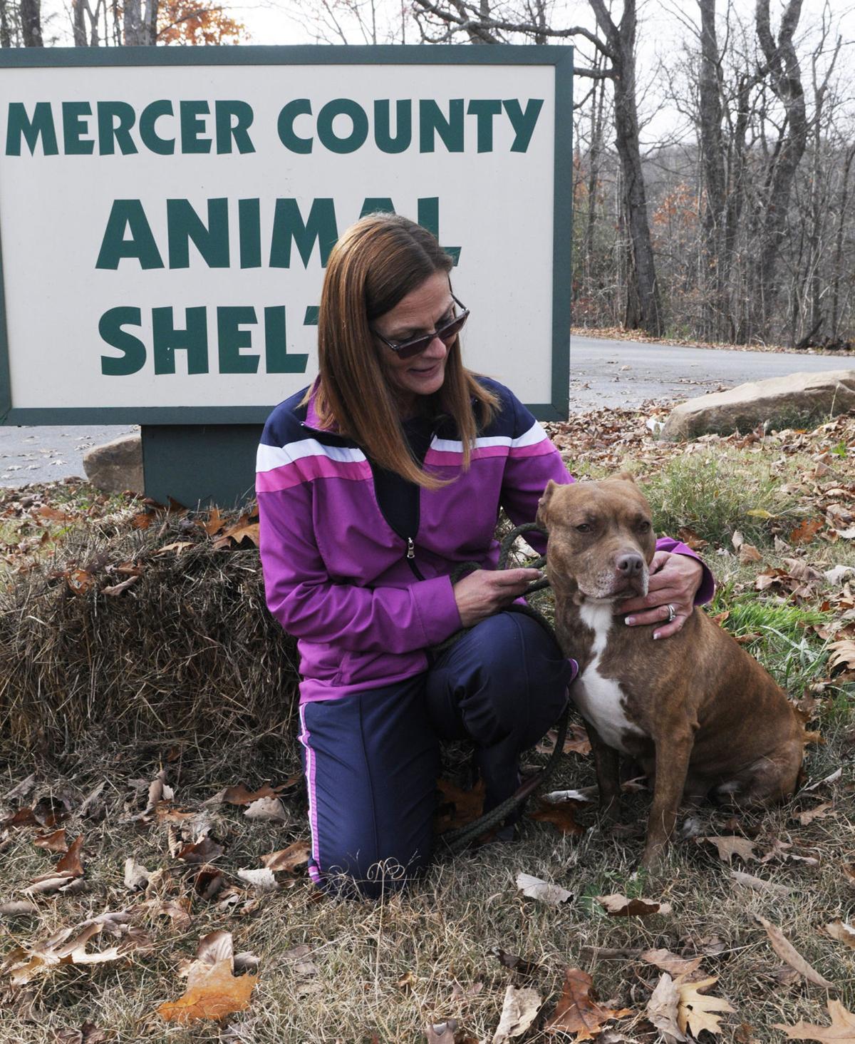 Pit Bulls Second Chance Rescue hopes to save shelter dogs from ...