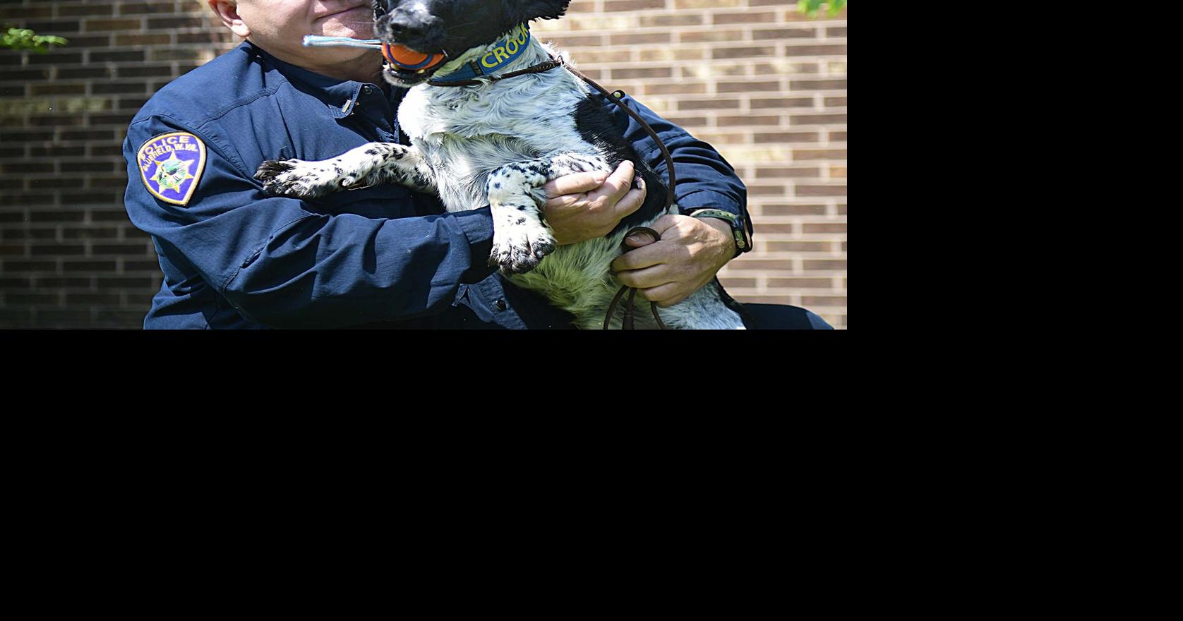K-9 Crook joins the Bluefield Police Department | News | bdtonline.com