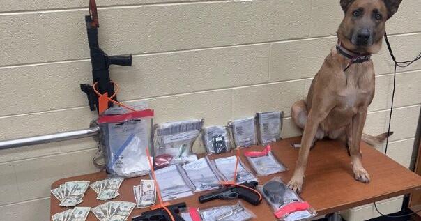 New K-9 units getting drugs, weapons off streets | News | bdtonline.com