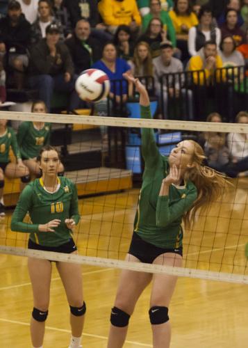 Narrows sweeps storied Rye Cove in state tourney debut | Sports ...