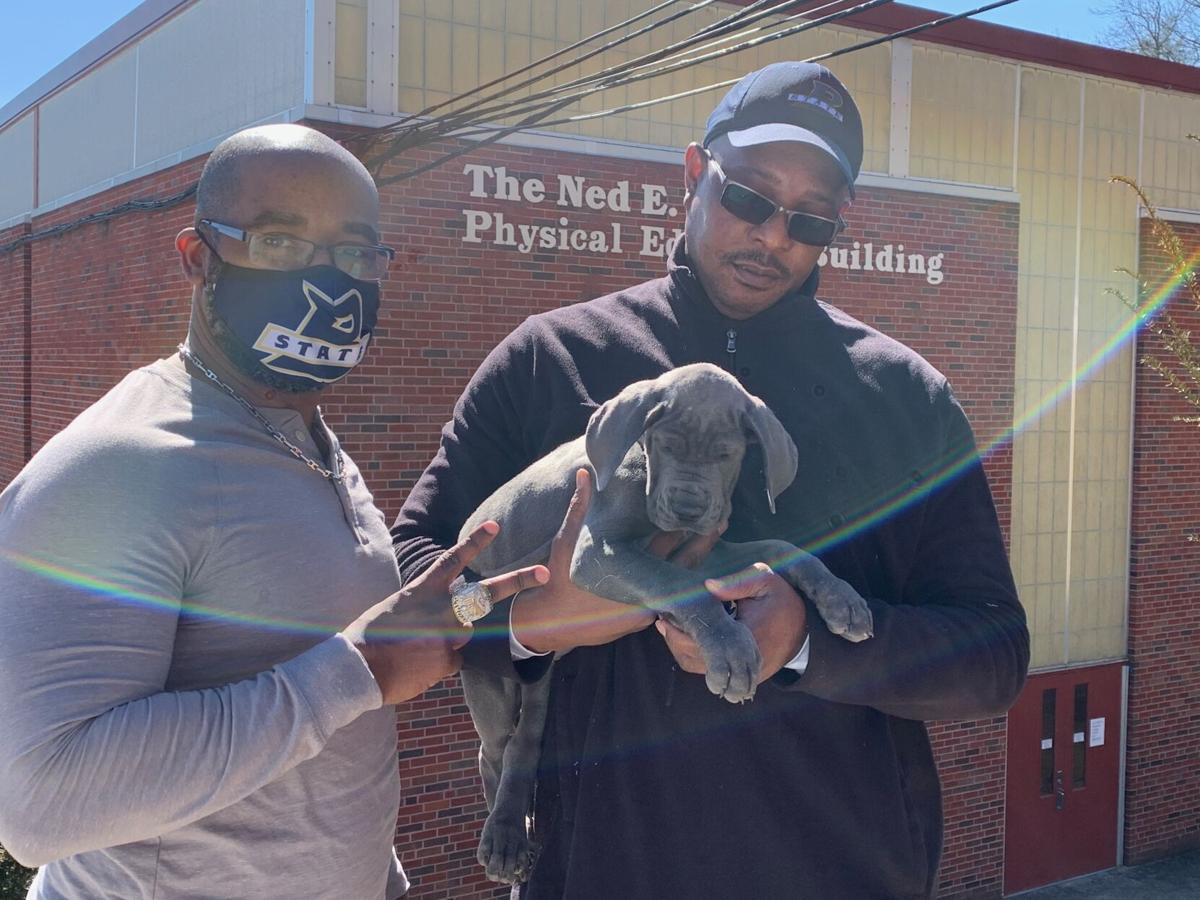 Bluefield State adopts Great Dane as team mascot | Sports | bdtonline.com