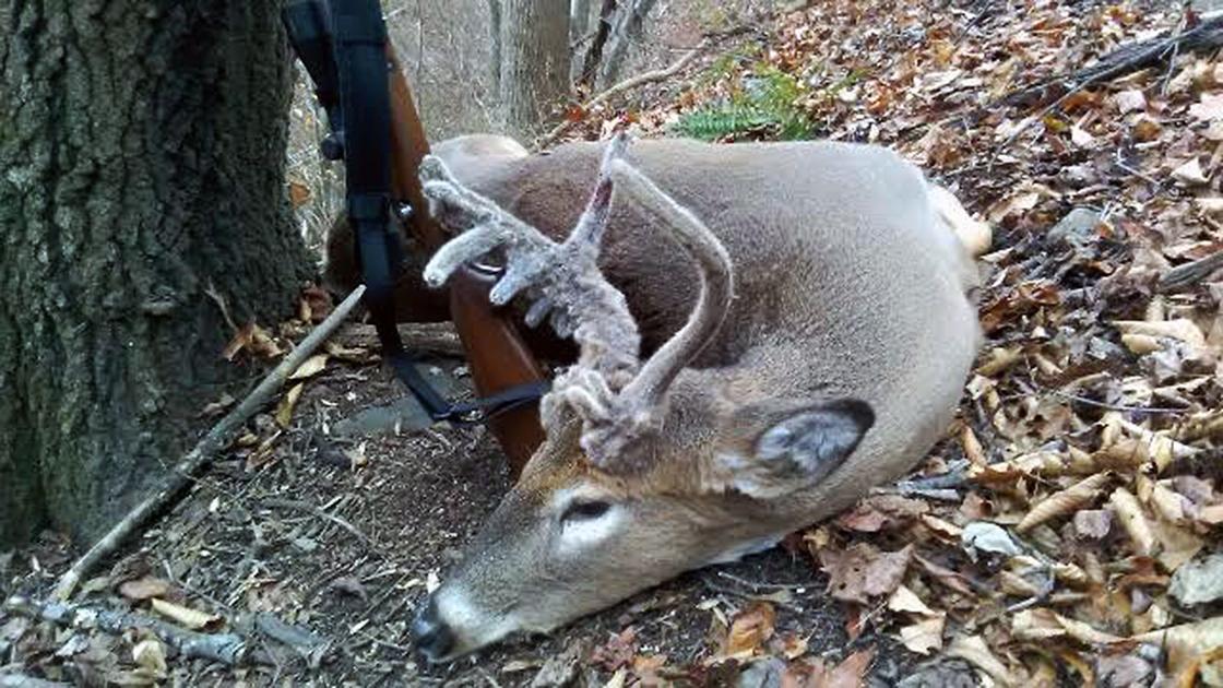Hunter harvests 24-point cactus buck in Mercer County | News ...