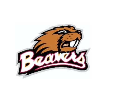 Preps: Bluefield baseball opens season with win at Mount View | Sports ...