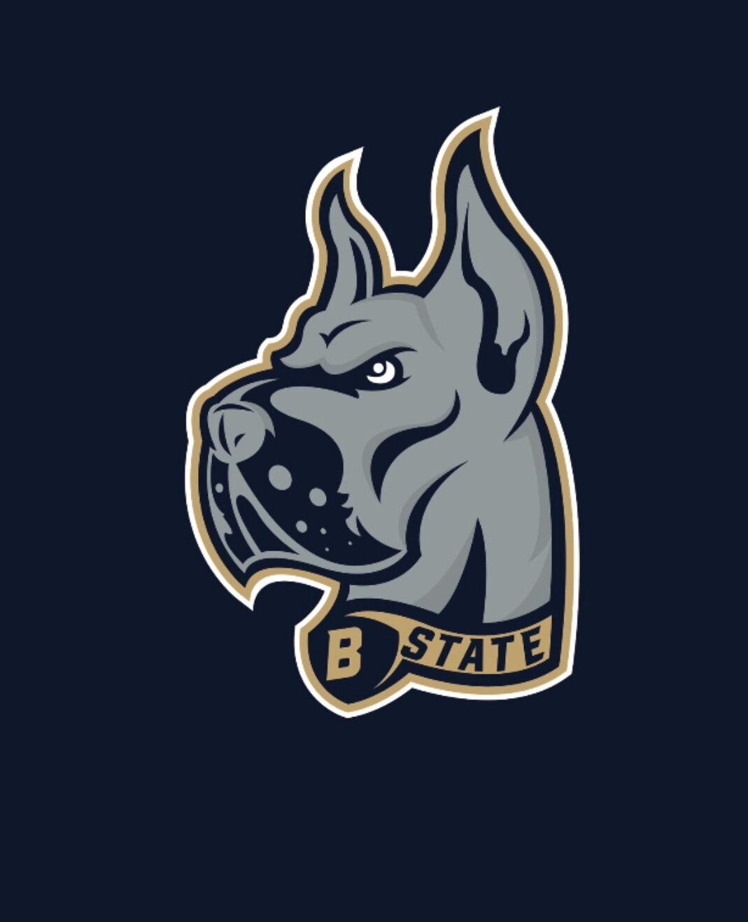 Bluefield State College wins inaugural Black College World Series ...