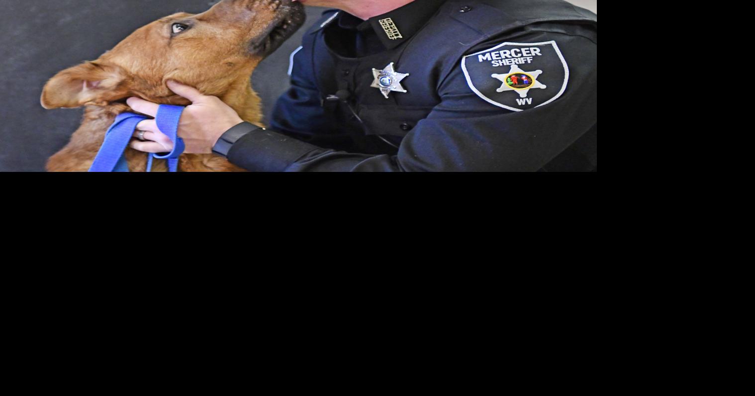 Pet Patrol program: Deputies, animal shelter working to encourage ...