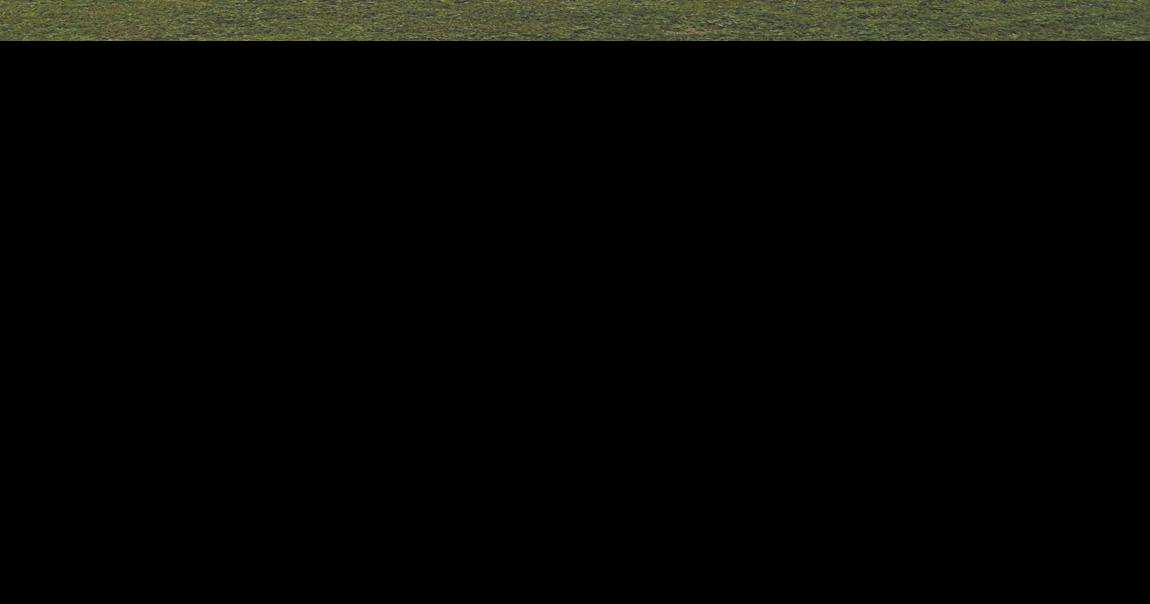 Lemon-lime tank on the road to regaining original color thanks to ...