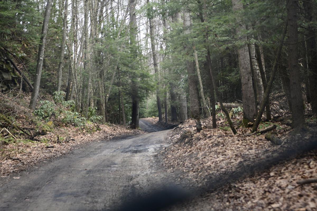 Slideshow: Buffalo Trails | Gallery | bdtonline.com