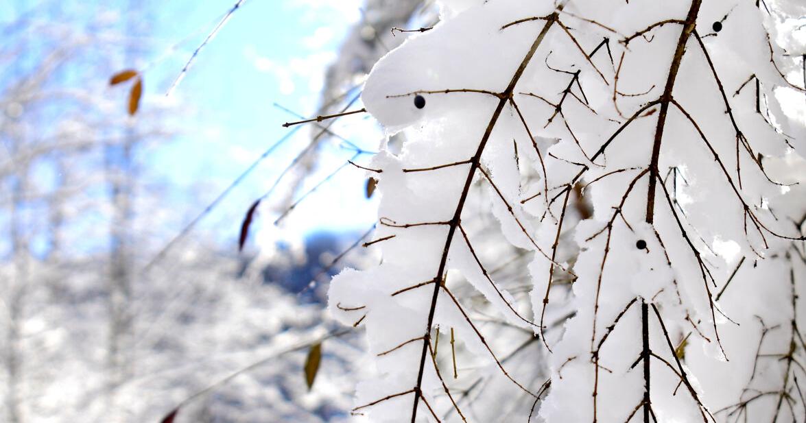 ‘Increasing confidence’ in storm: Harsh weekend weather likely, too ...