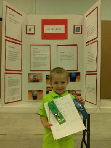 St. Paul Lutheran hold first annual science fair