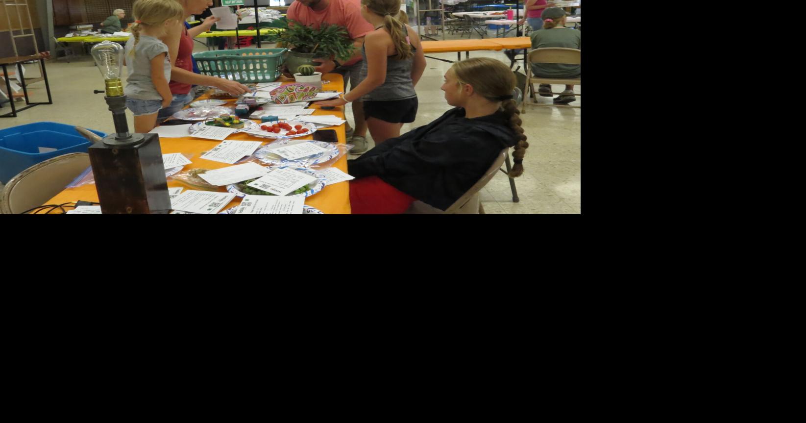 Gage County Fair underway