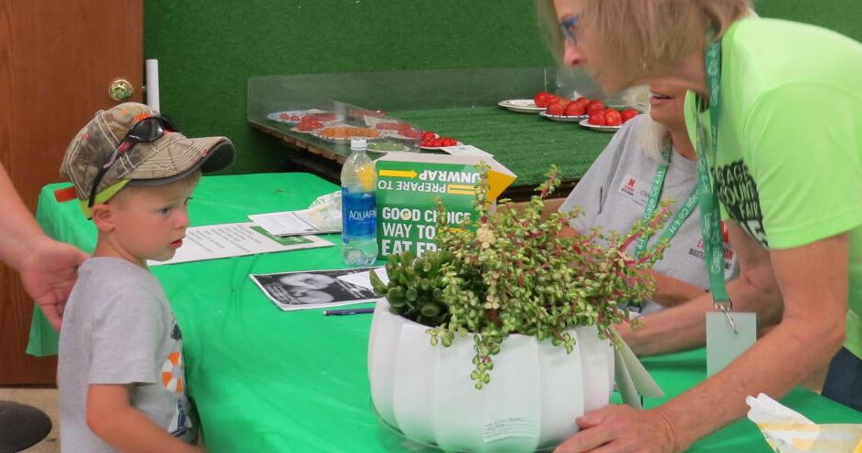 Exhibits entered Tuesday at Gage County Fair