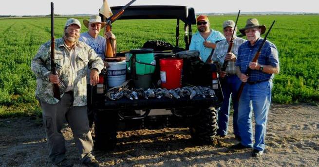 Nebraska’s dove season is just around the corner
