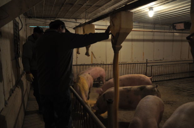 An inspired industry