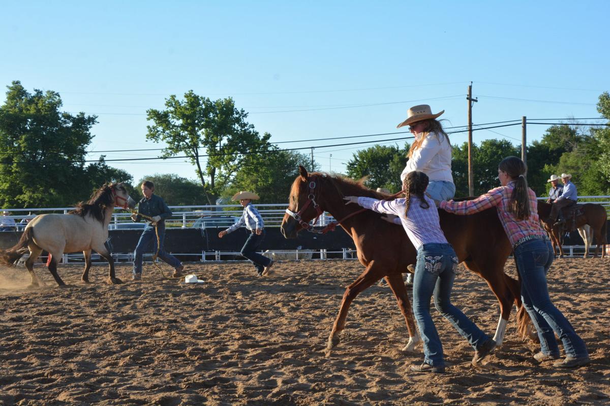 Jefferson County Fair
