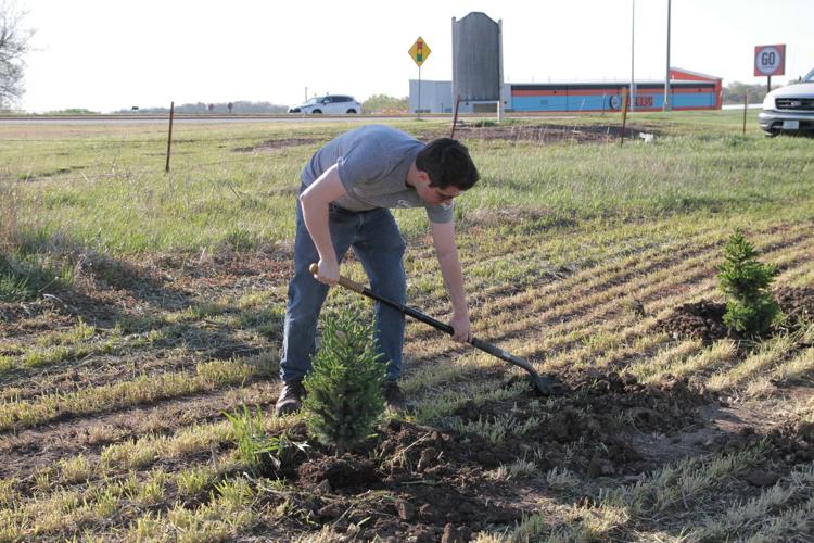 City partners with Neapco to plant trees