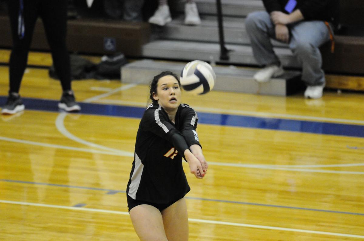 Lady Griffins fall at state tournament | Prep Sports | beatricedailysun.com