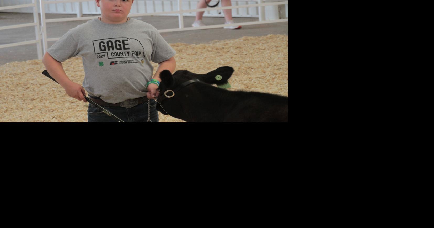 Young 4-Hers show off bucket calves