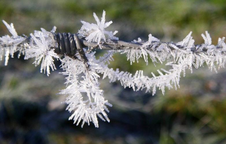 It is called hoar frost