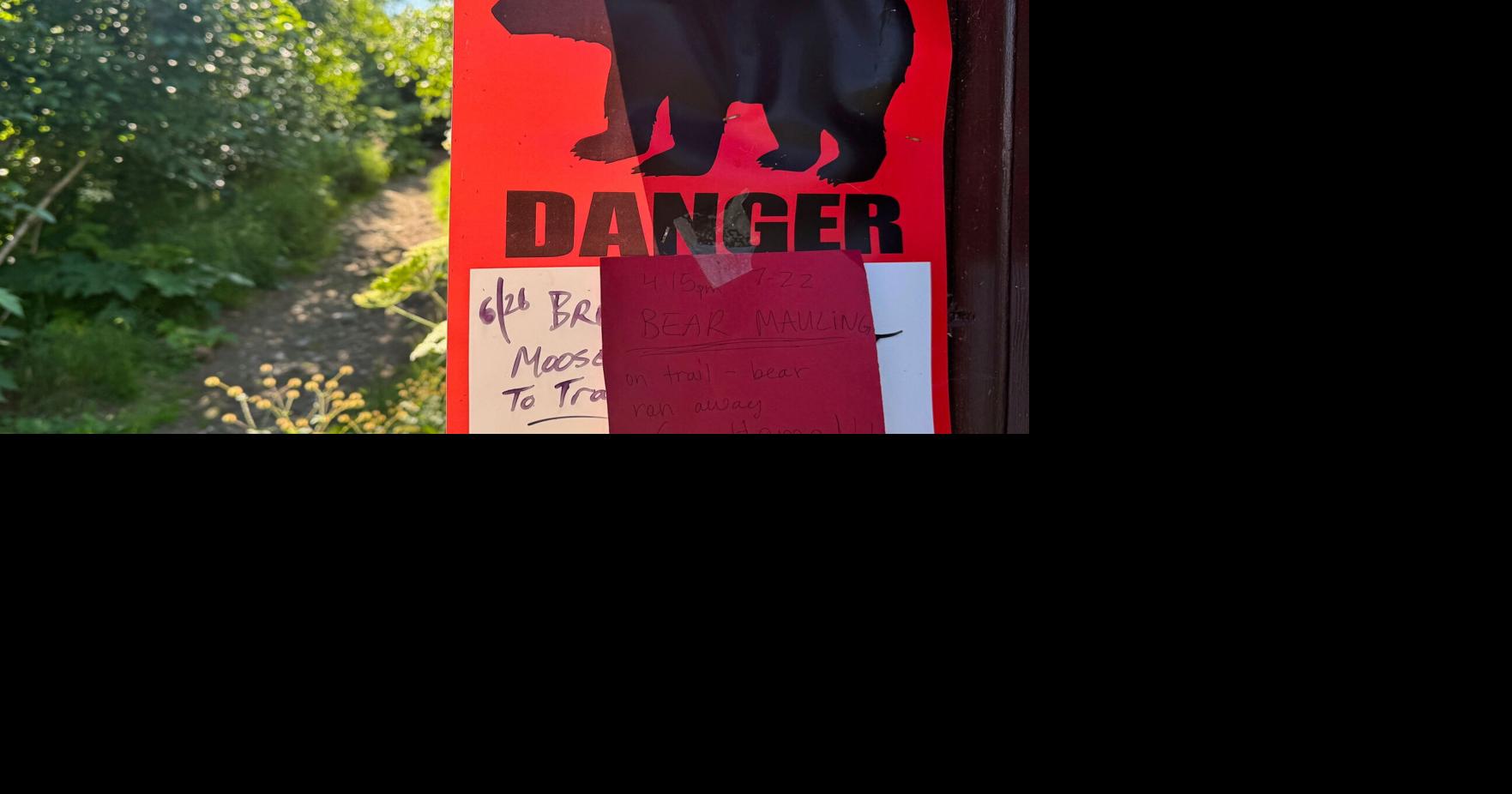 Black bear 'evicted' from California man's crawl space