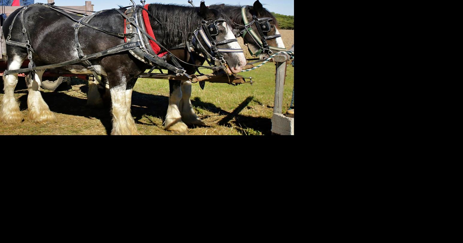 Harvest Festival held at Filley Stone Barn