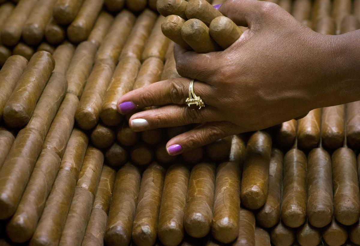 Photos: Here's what Cuban cigar tobacco harvesting looks like | World ...