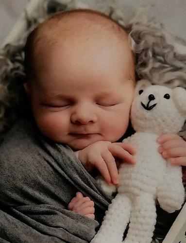 Introducing Harrison Paul Fox