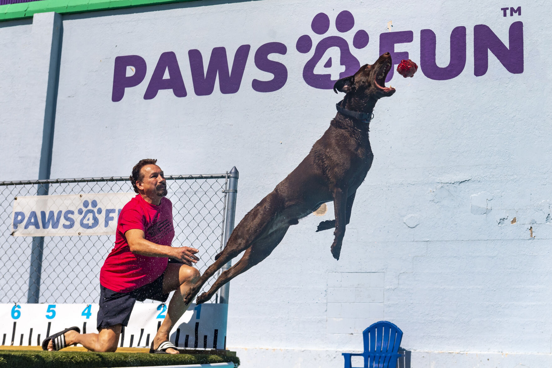 Photos: Paws 4 Fun hosts dock diving competition at spring kickoff party