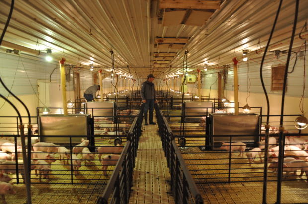 An inspired industry