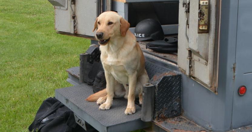 Beatrice Police K-9 officer to receive vest