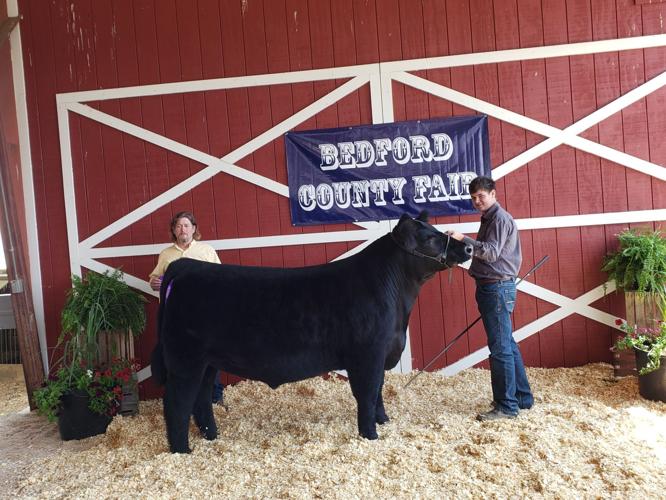 Hunter Jay shows top market steer | News | bedfordgazette.com