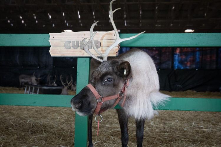 Santa, reindeer get clearance to fly | News | bedfordgazette.com