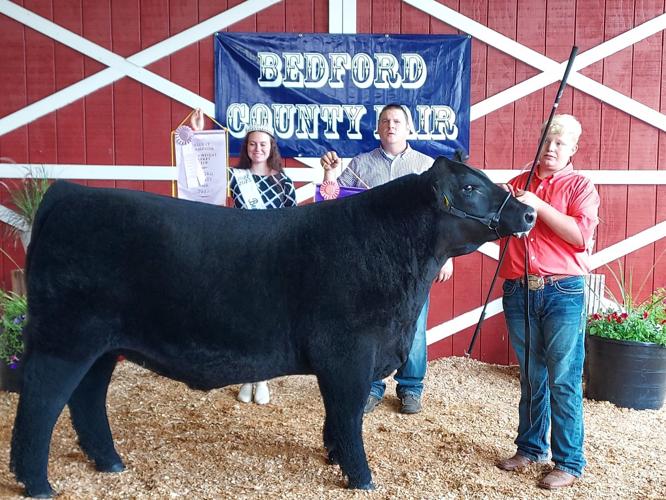 Jay's steer takes grand champion banner | Local News | bedfordgazette.com