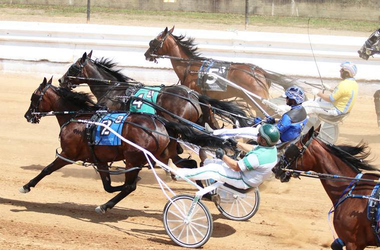 Hammer captures a victory at opening day of harness racing | Local ...