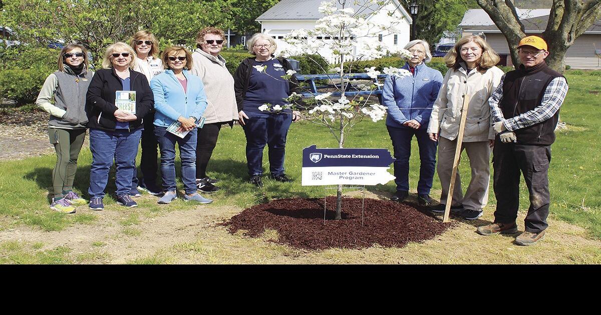 Local groups mark Arbor Day | Local News | bedfordgazette.com