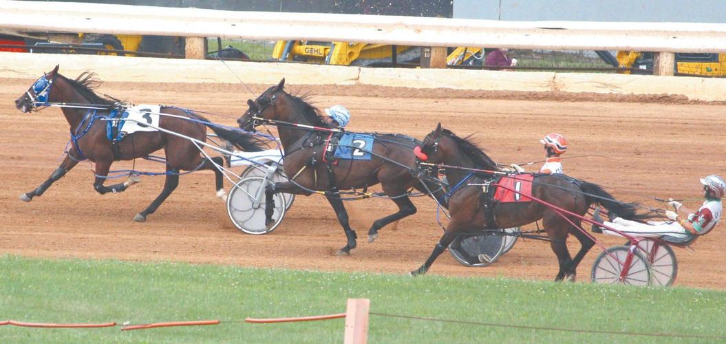 Harness racing track records fall at the Fair | Local News ...
