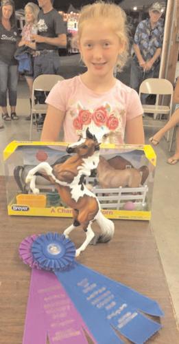 Jocelyn Cox shows top model horse | Local News | bedfordgazette.com