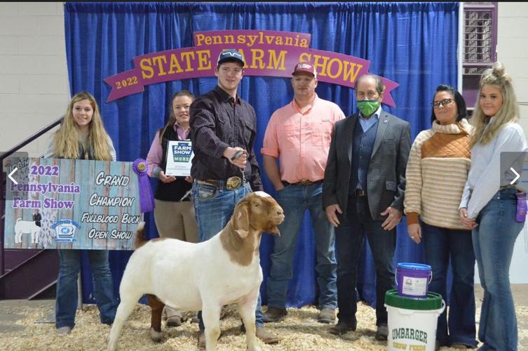 Lankey shows Supreme Champion at Farm Show | News | bedfordgazette.com