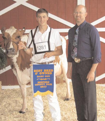 Molly Cessna’s Holstein tops junior dairy judging | Archives ...