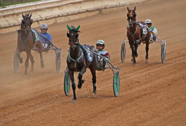 Roger, Wilder drive to victory on harness racing opening | Local ...