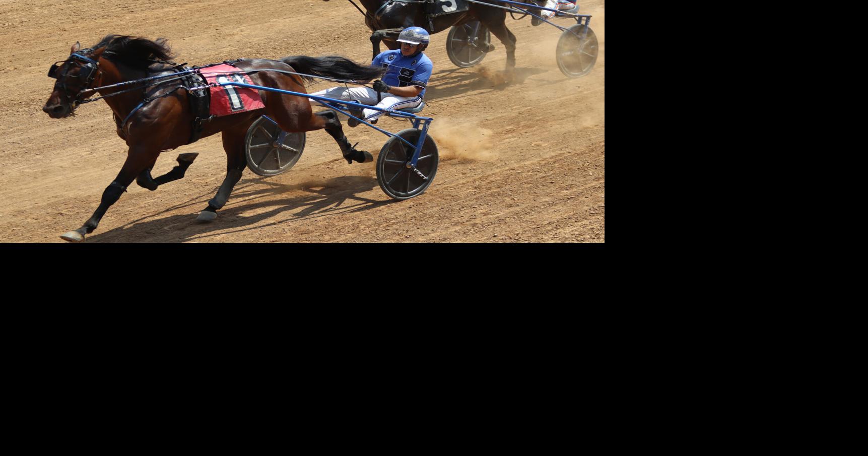 Bedford County harness racing — 150 years and counting | Local ...