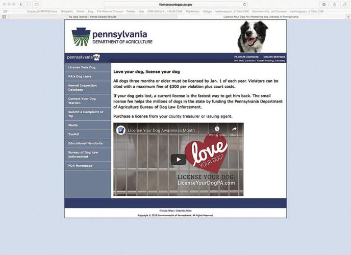 Treasurer warns dog owners of bogus site | Local News | bedfordgazette.com