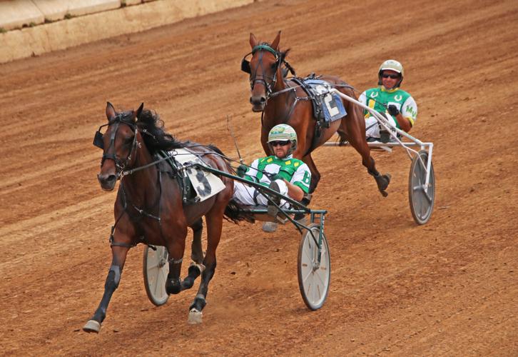 Roger, Wilder drive to victory on harness racing opening | Local ...
