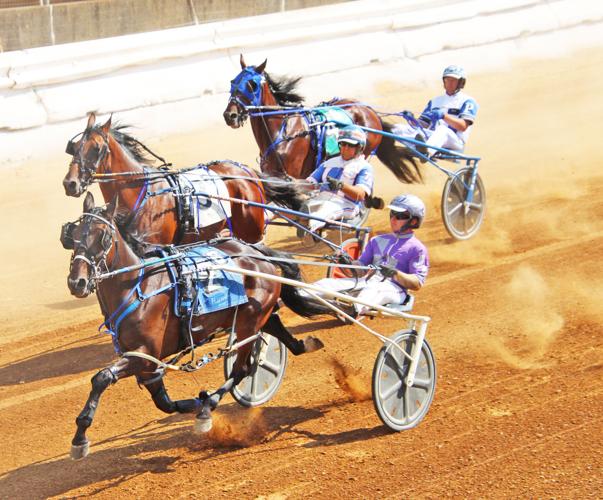 Harness racing kicks off Sunday that fairgrounds | Local ...