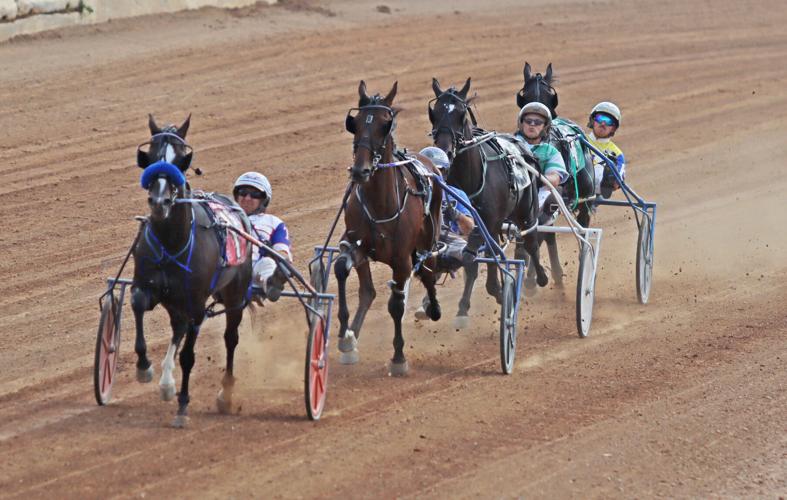 Schadel, Neal lead the way with 3 wins each at harness racing | Local ...