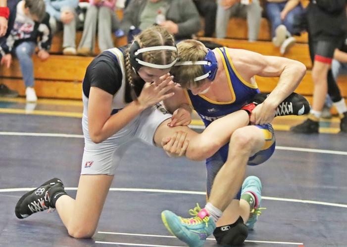 Top seeds advance to semis; Chestnut Ridge leads | Local ...